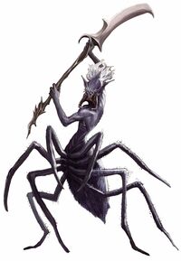 Drider | Pathfinder Wiki | Fandom