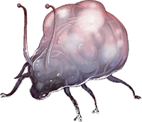 Torble | Pathfinder Wiki | Fandom