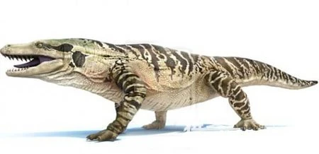 Monitor Lizard | Pathfinder Kingmaker Wiki | Fandom