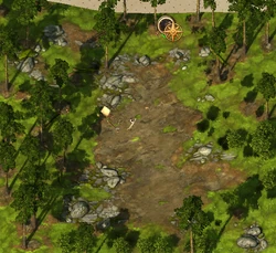 Pine Patch - Pathfinder: Kingmaker Wiki