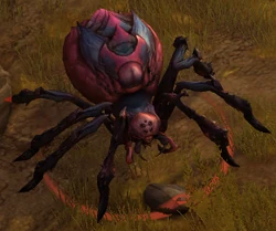 Giant Spider - Pathfinder: Kingmaker Wiki