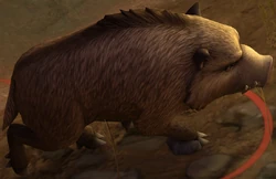 Wild Boar - Pathfinder: Kingmaker Wiki