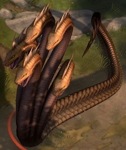 Real Hydra Snake