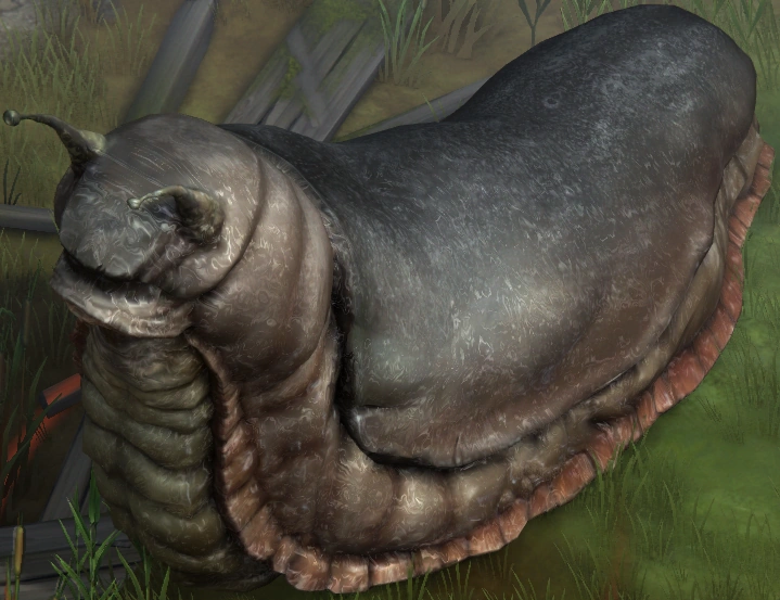 Acid-imbued Giant Slug - Pathfinder: Kingmaker Wiki