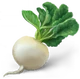 Moon Radish - Pathfinder: Kingmaker Wiki