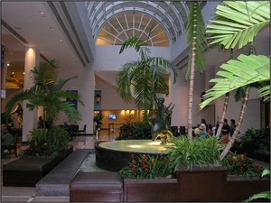 Houston Methodist Hospital Program | Pathology Resident Wiki | Fandom