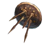 Compound Spiked Shield - Path of Exile Wiki