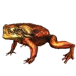 Toad Pet - Path of Exile Wiki