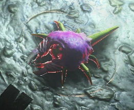 Craicic Shield Crab - Path of Exile Wiki