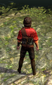 Crusader Plate - Path of Exile Wiki
