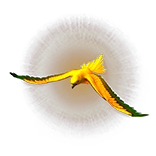 Golden Parakeet Pet - Path of Exile Wiki