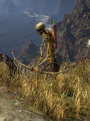 Ancient Archer - Path of Exile Wiki