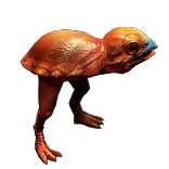 Rhoa Pet - Path of Exile Wiki