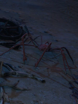 Spider Crab - Path of Exile Wiki