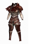 Blood Guardian Body Armour - Path of Exile Wiki
