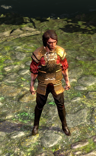 Golden Plate - Path of Exile Wiki