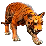 Tiger Pet - Path of Exile Wiki