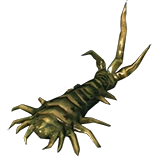 Parasite Pet - Path of Exile Wiki