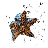 Hive Backpack - Path of Exile Wiki