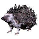 Hedgehog Pet - Path of Exile Wiki