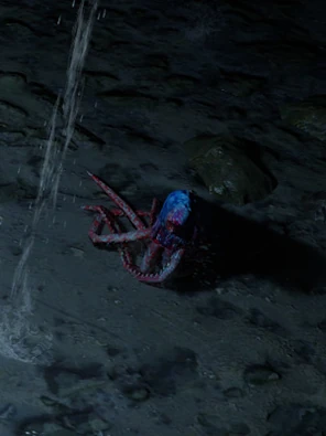 Broodling - Path of Exile Wiki