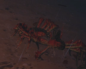 Infested Crab - Path of Exile Wiki