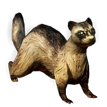 Ferret Pet - Path of Exile Wiki