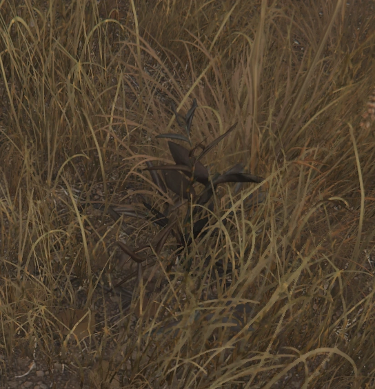 Black Twyre - Official Pathologic Wiki