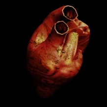 Bride's Heart - Official Pathologic Wiki