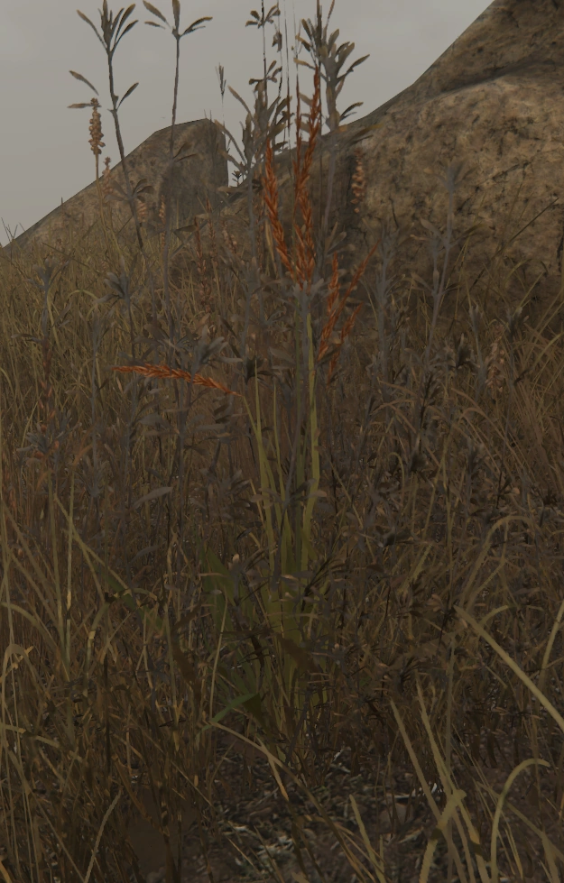 Brown Twyre - Official Pathologic Wiki