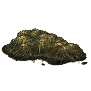 Rotten Food - Official Pathologic Wiki