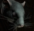 Rat Prophet - Official Pathologic Wiki