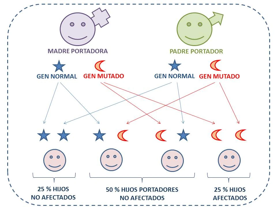 Un portador | Patología clínica Wiki | Fandom