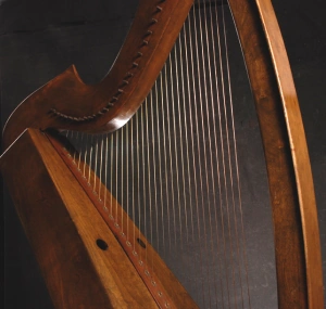 Instrument | Patrick Ball Wiki | Fandom