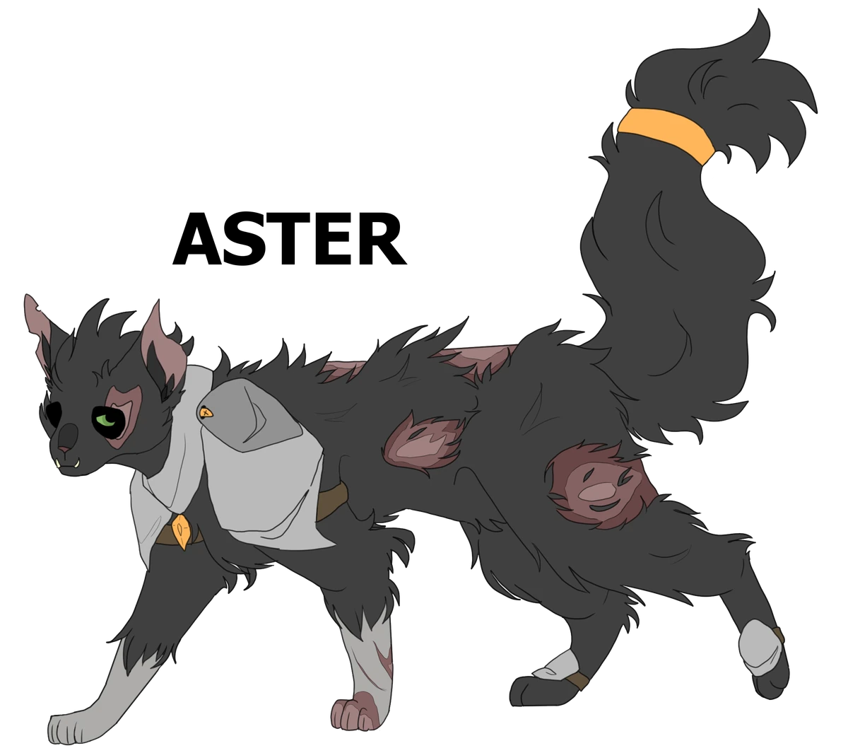 Aster | Pauzera Wiki | Fandom