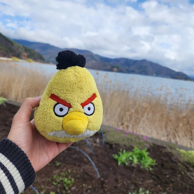 Discuss Everything About Pavin Suakham Wiki | Fandom