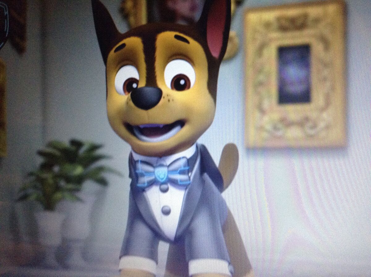 Chases Gallerymission Paw Quest For The Crown Paw Patrol Cast Wiki