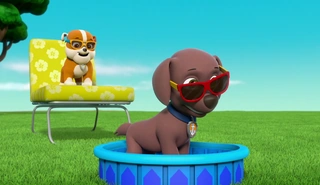 Zuma/Gallery | Paw Patrol Cast Wiki | Fandom