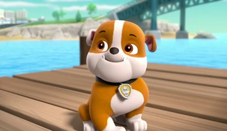 Rubble/Gallery | Paw Patrol Cast Wiki | Fandom