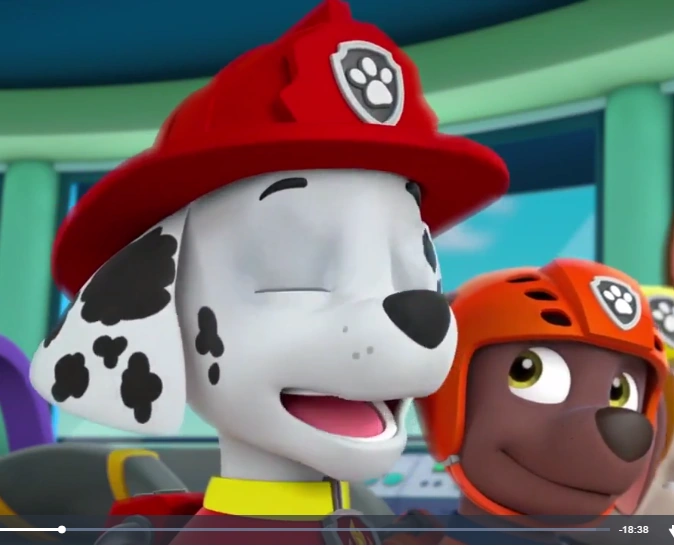 Zuma's Gallery/Pups Save Jake's Cake | Paw Patrol Cast Wiki | Fandom