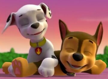 Paw Patrol Marshall And Chase