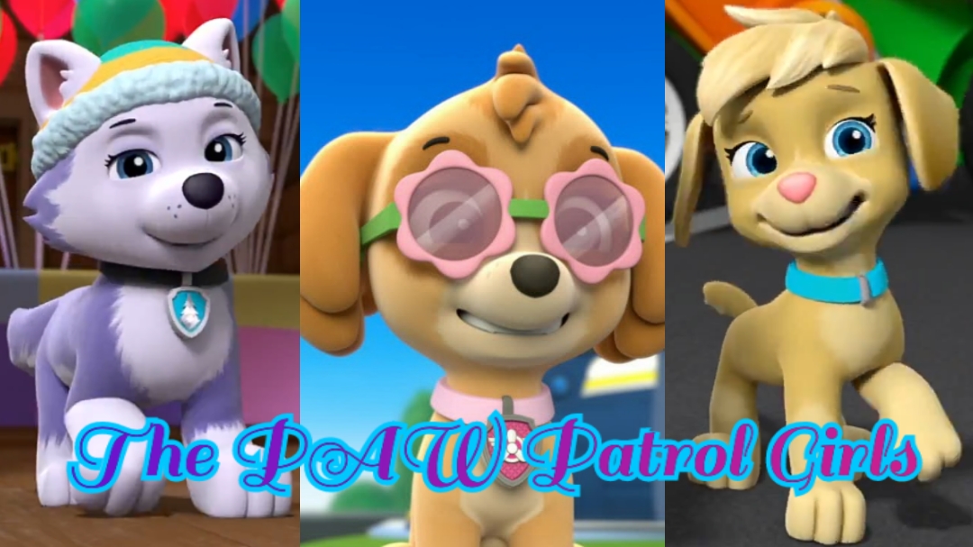 Everest Skye And Ella Scrapped Friendship Paw Patrol Fan Universe