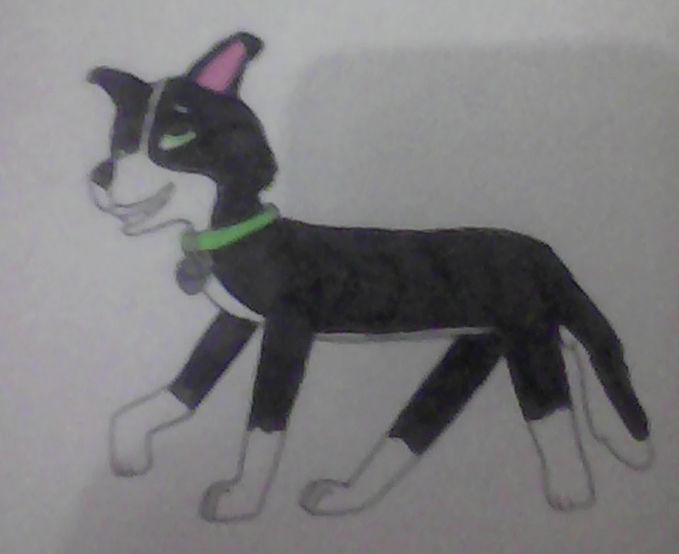 Dash the Ocean Pup | PAW Patrol Fanon Wiki | Fandom