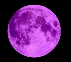Female Purple Moon