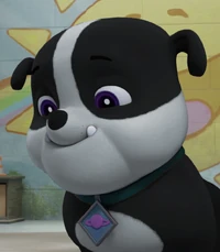 Frank (Pug) | PAW Patrol Fanon Wiki | Fandom