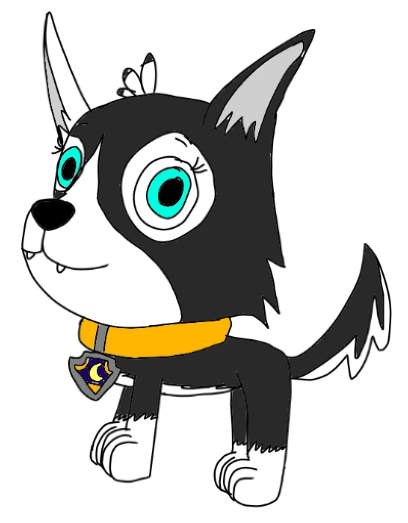 Midnight. | PAW Patrol Fanon Wiki | Fandom