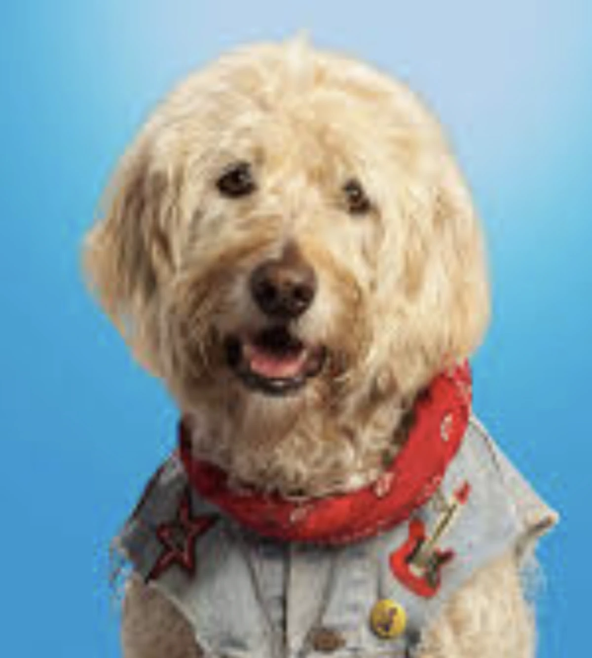 Charlie (Pup Star) | PAW Patrol Fanon Wiki | Fandom