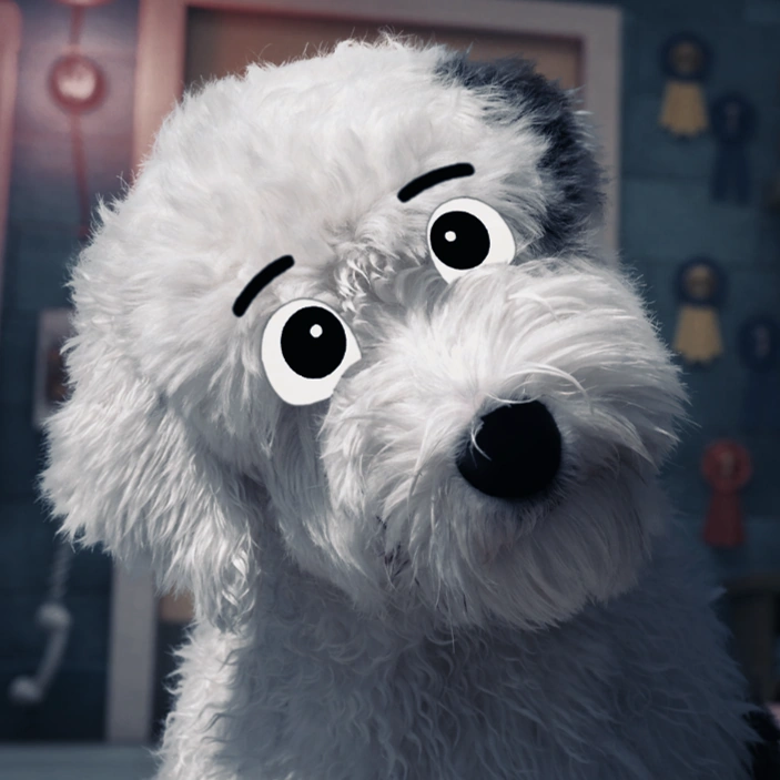 Bruce | PAW Patrol Fanon Wiki | Fandom