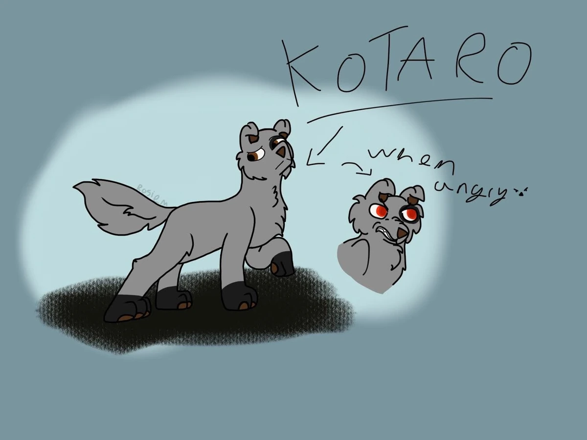 Kotaro | PAW Patrol Fanon Wiki | Fandom