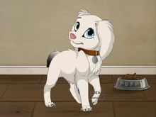 Tasha (CP) | PAW Patrol Fanon Wiki | Fandom